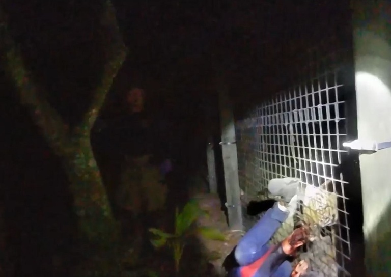VÍDEO: câmera registra momento em que tigre é morto no zoológico Naples ...