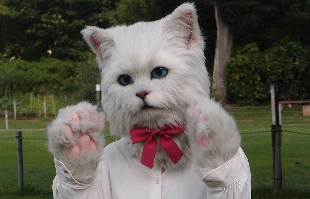 Conheça a empresa que fez a incrível fantasia de collie usada por ...