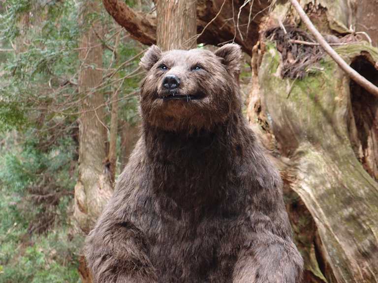 Conheça a empresa que fez a incrível fantasia de collie usada por ...