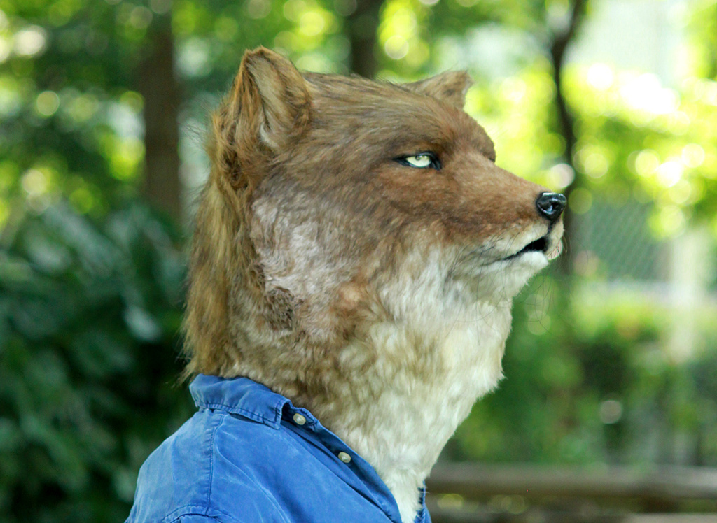 Conheça a empresa que fez a incrível fantasia de collie usada por ...