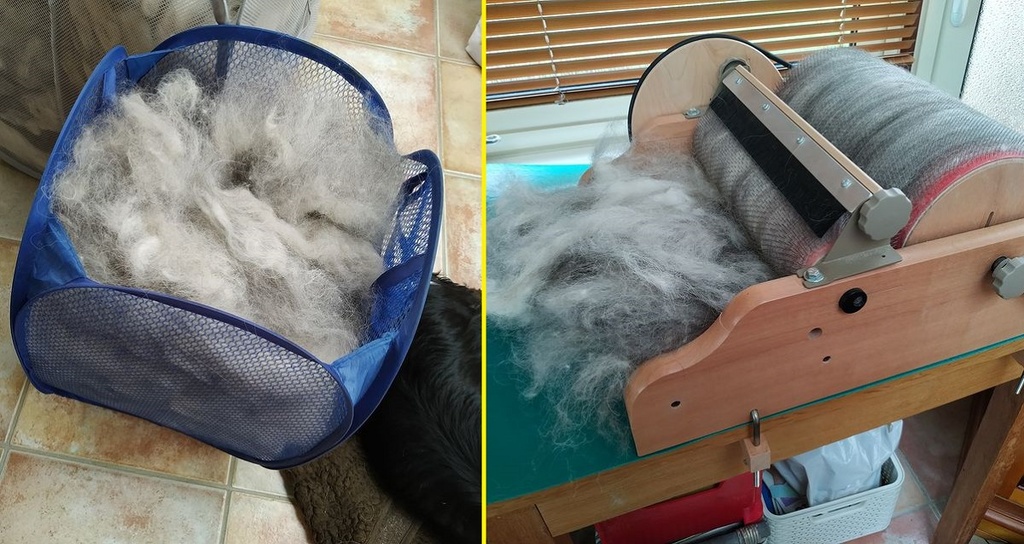 Príncipe da Bélgica é presenteado com inusitado suéter feito de pelo de ...